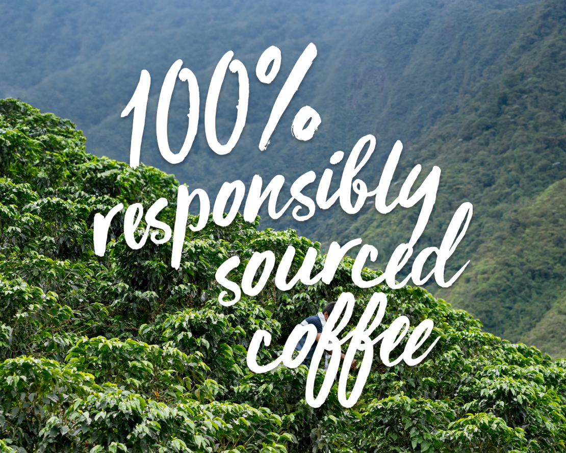 Zoégas Ethiopia » Experience | Nestlé Professional