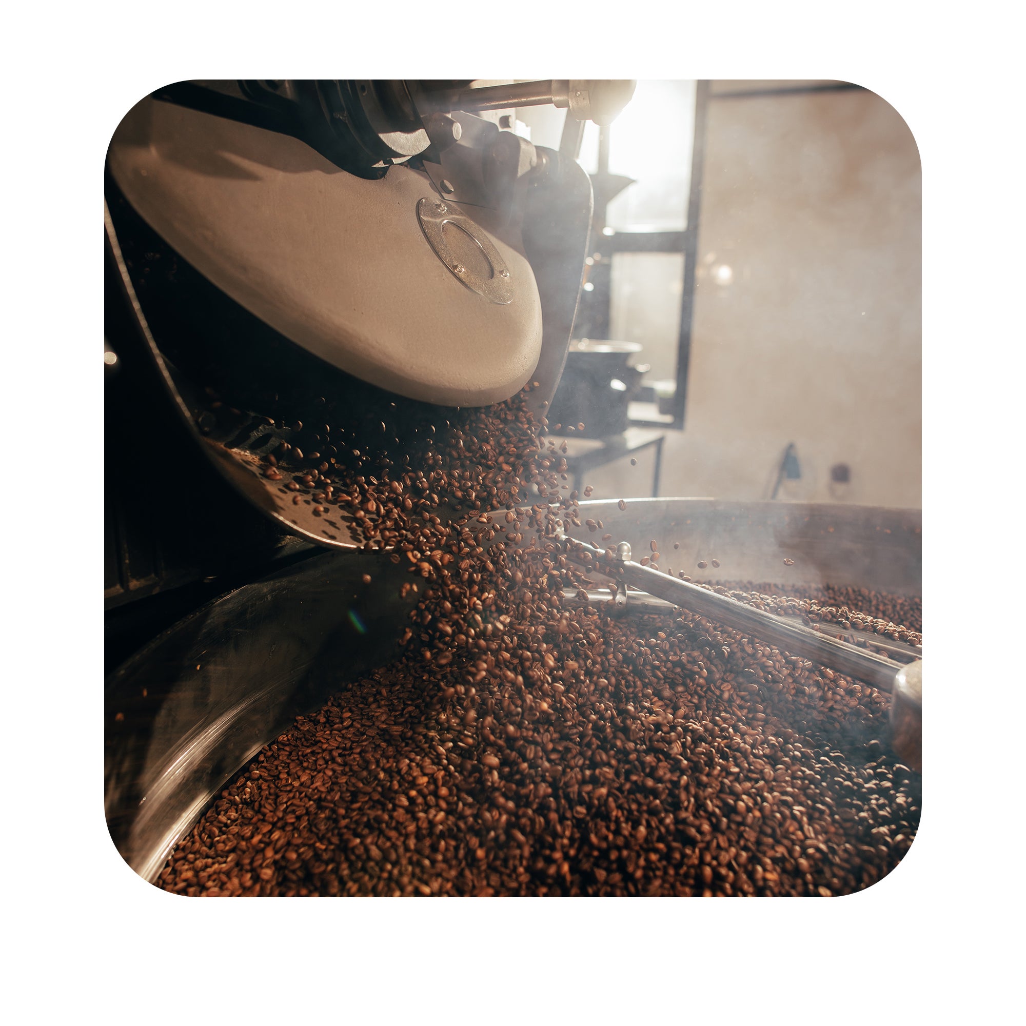 ZOÉGAS Professional | Kaffe | Nestlé Professional