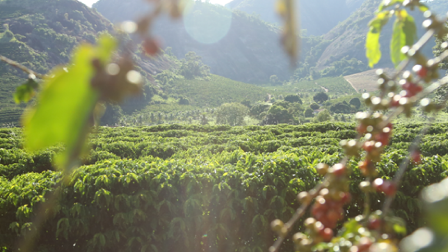 NESCAFÉ - CUP OF RESPECT | Nestlé Professional