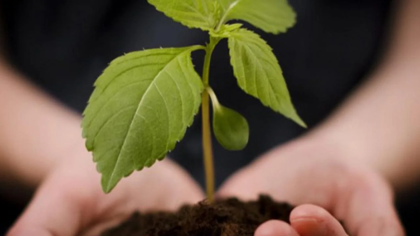 Nescafé plan - hyvää kahvia|Nestlé Professional